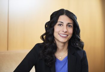 High Level Panel of Legal Experts on Media Freedom - Media Freedom ...